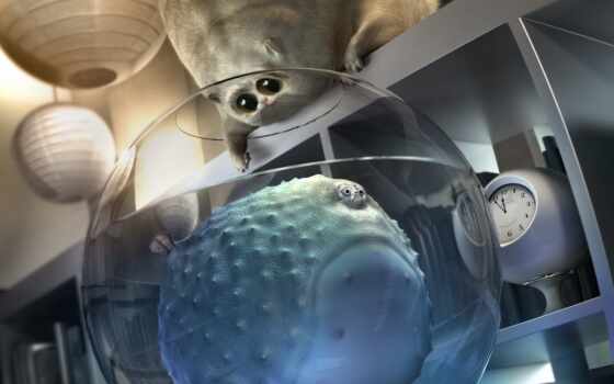 Wallpaper schedule, cat, section Rendering, size 1600x1200 - download ...